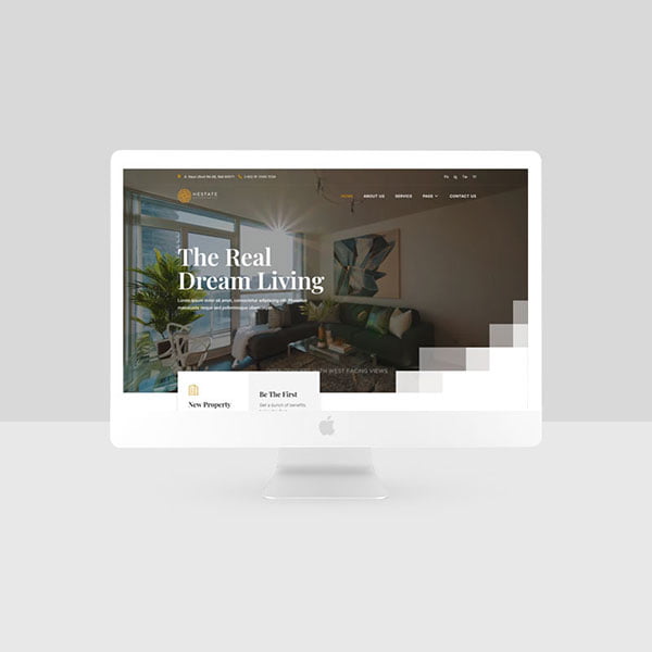 Port Elizabeth Web Design | Spearmint Design Studio